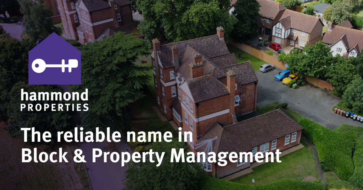 Contact Us - Hammond Properties